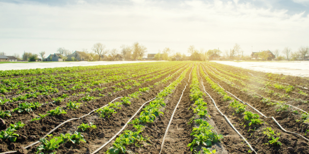 How Drip Irrigation Is Effective For Landscaping?