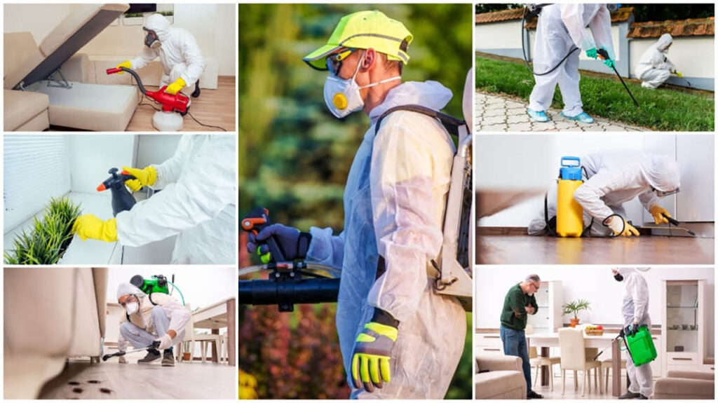 Best Pest Control Services Provider in Saudi Arabia?